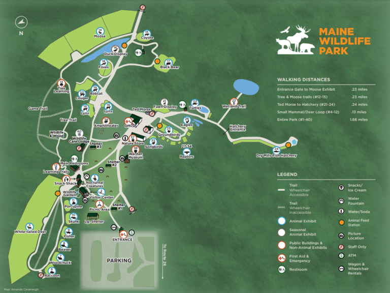 Maine Wildlife Park Map and Brochure (2021 - 2025) | ThemeParkBrochures.net