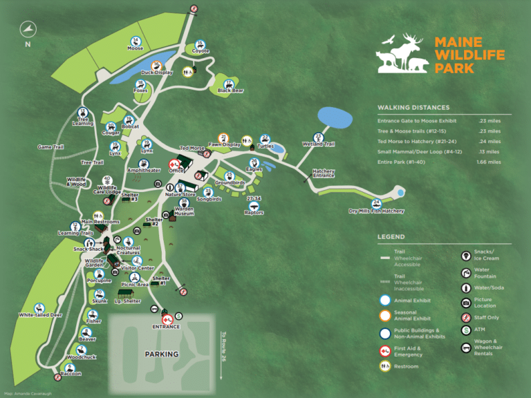Maine Wildlife Park Map and Brochure (2021 - 2025) | ThemeParkBrochures.net