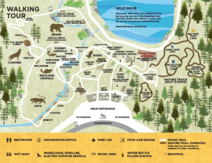 Northwest Trek Wildlife Park Map and Brochure (2025 - 2018 ...