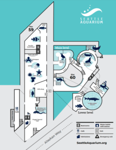 Seattle Aquarium Map and Brochure (2025 - 2016) | ThemeParkBrochures.net